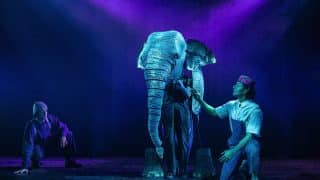The Vanishing Elephant comes to The Grand Opera House - Belfast ...